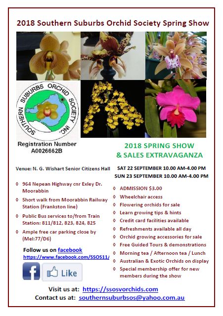 This is what you have all been waiting for | Southern Suburbs Orchid ...